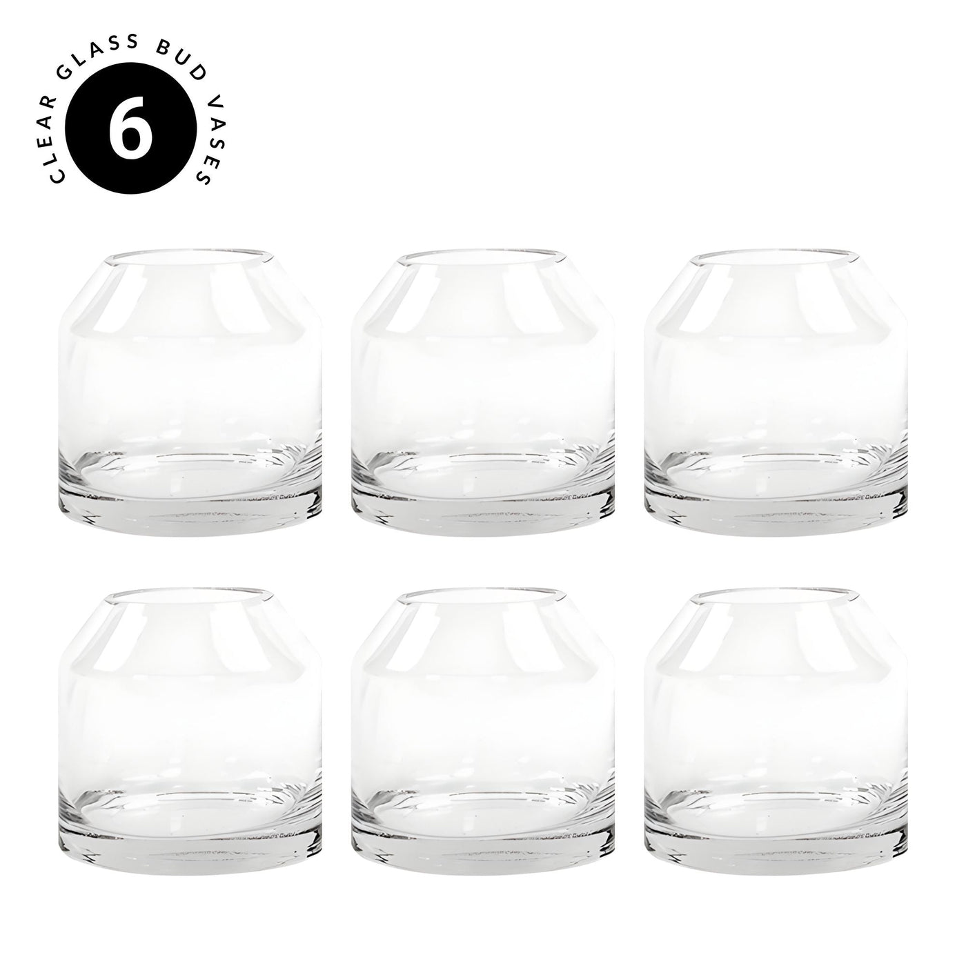 Set of 6 Mini Glass Jug Vases
